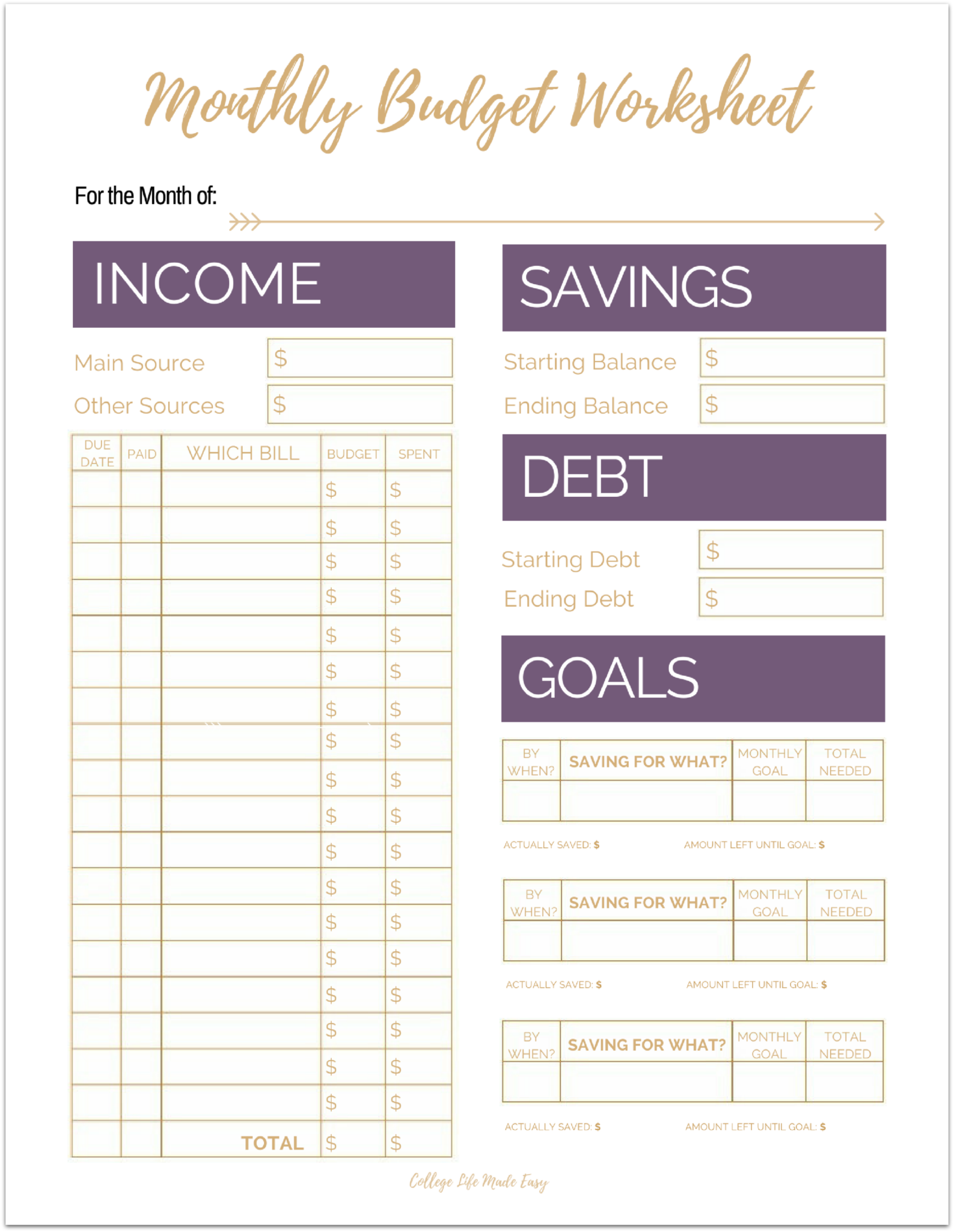 Academic Activity Budget Worksheet Template