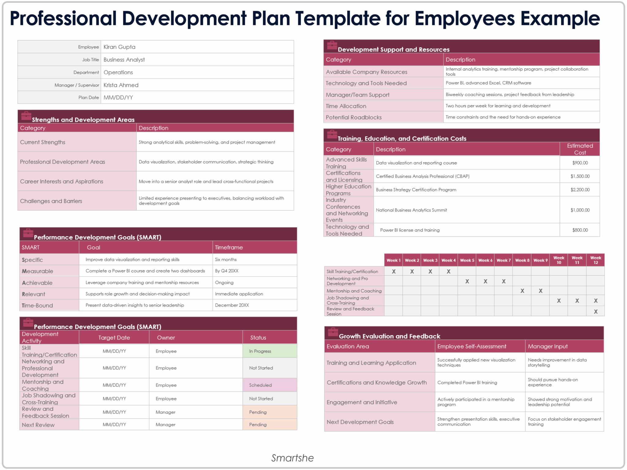 Career Development Planning Template