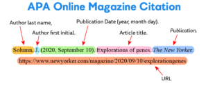 APA Citation Format Template
